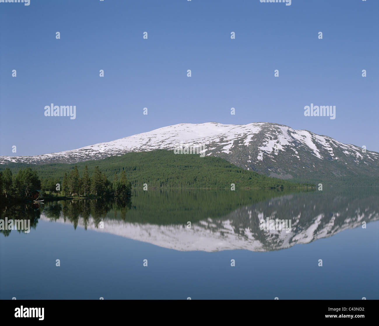 Osen hi-res stock photography and images - Alamy