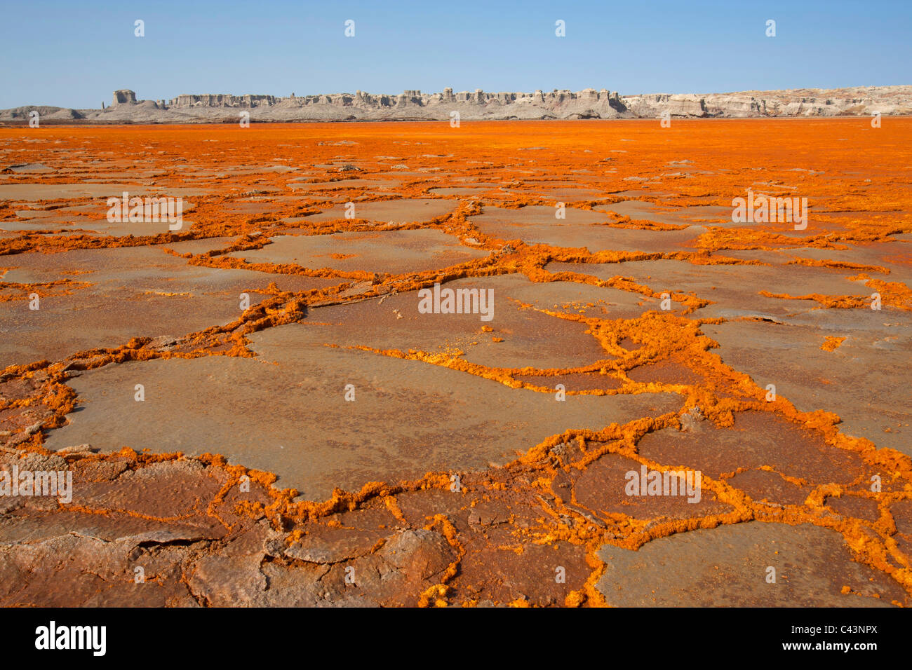 Dallol, Africa, Ethiopia, Afar region, Afgar, Danakil, desert, acid ...