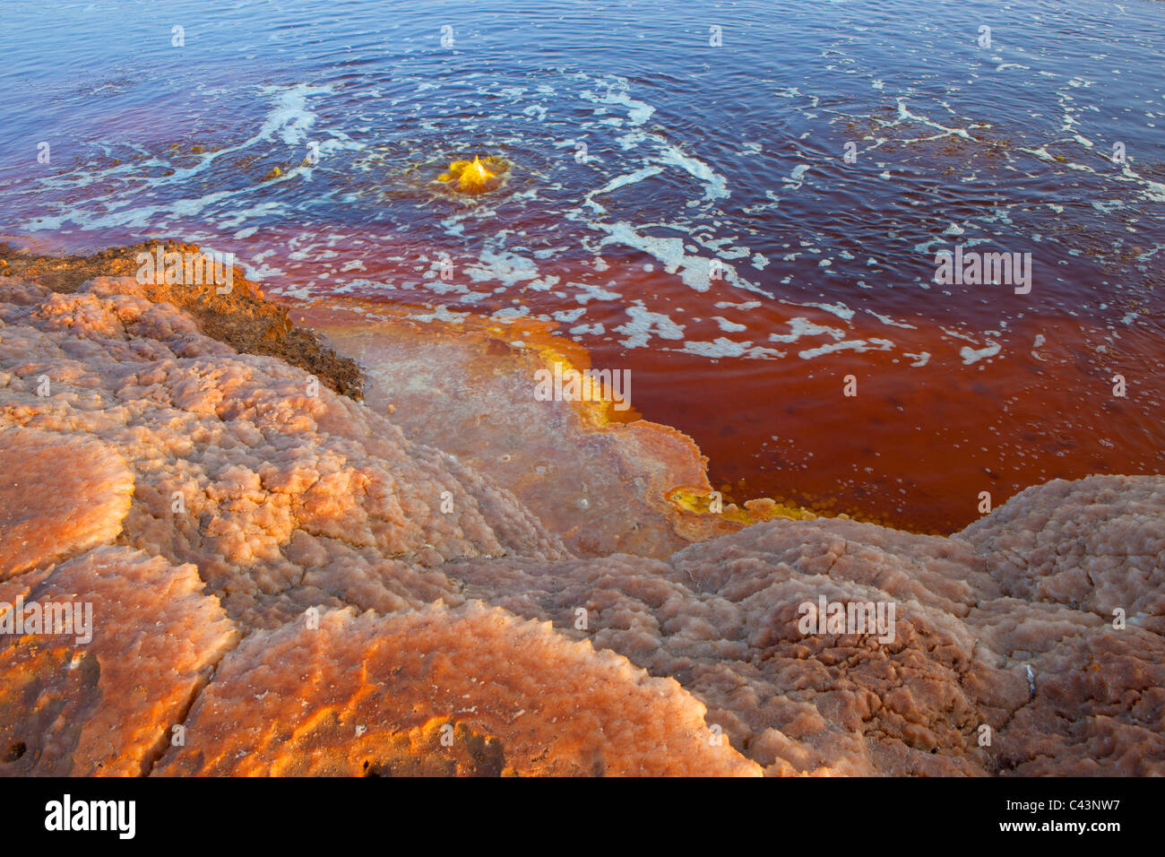 Dallol-Yellow Lake, Africa, Ethiopia, Afar region, Afgar, Danakil ...