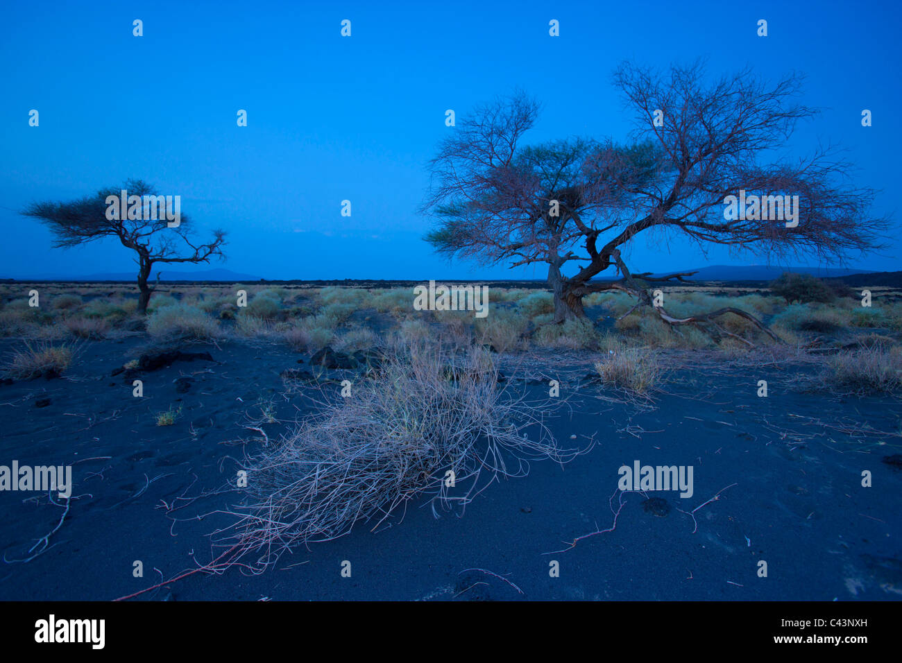Danakil desert ethiopia hi-res stock photography and images - Alamy