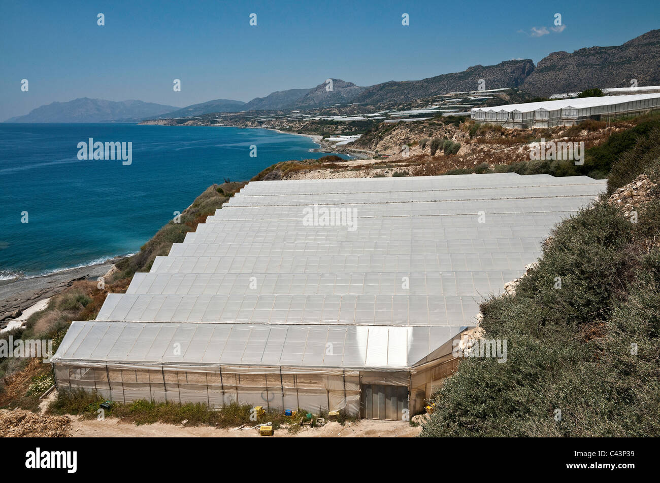 Plasticulture, plastic green houses, spreading along the coast between ...