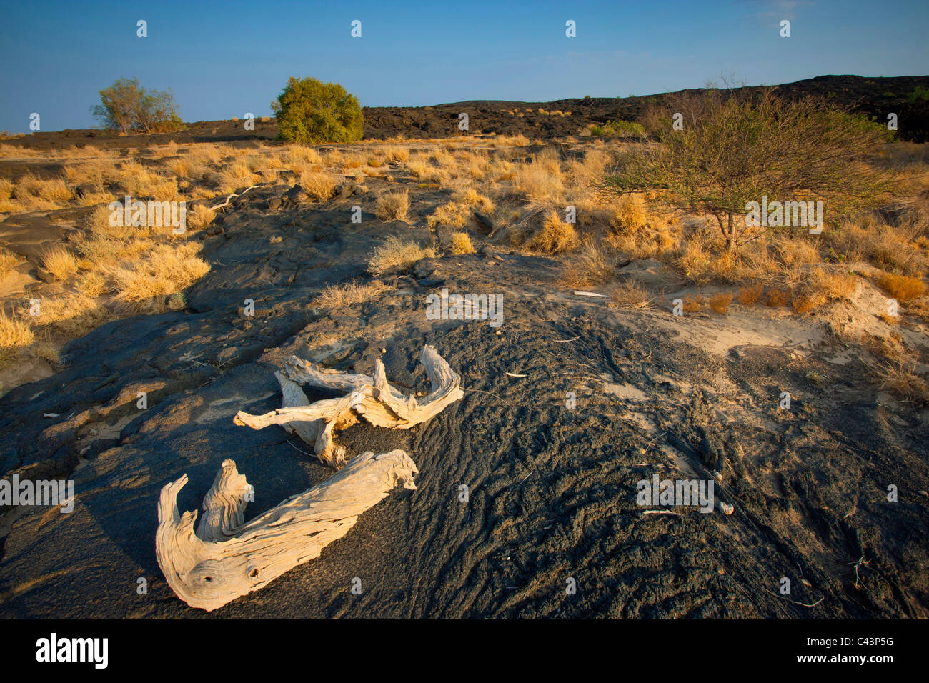 Erta ale, Africa, Ethiopia, Afar region, Afgar, Danakil, desert ...