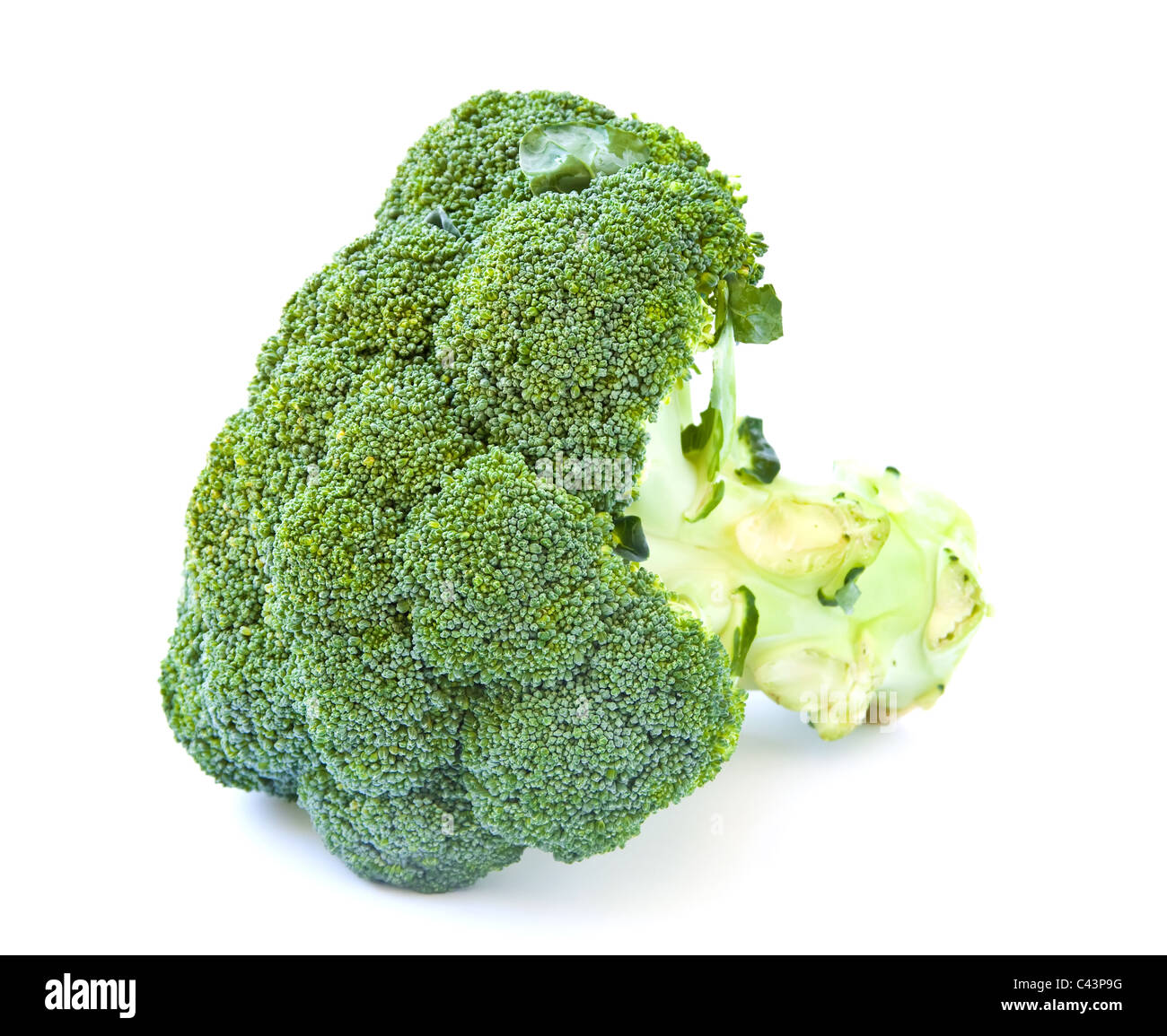 Broccoli, isolated on a white background Stock Photo - Alamy