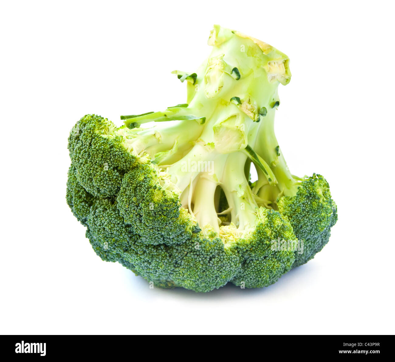 Broccoli, isolated on a white background Stock Photo - Alamy