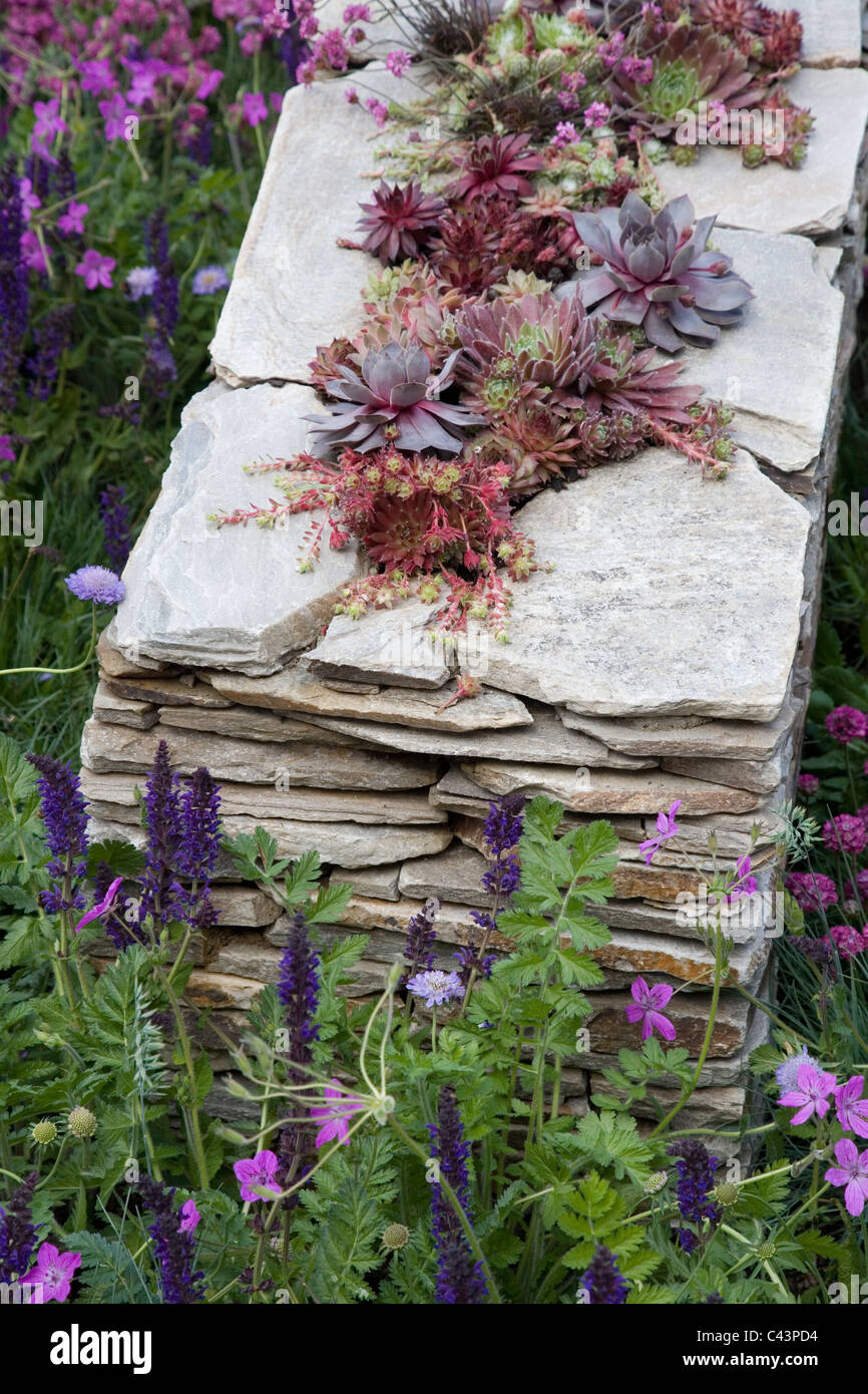 Insect habitats inside dry stone walls Stock Photo - Alamy