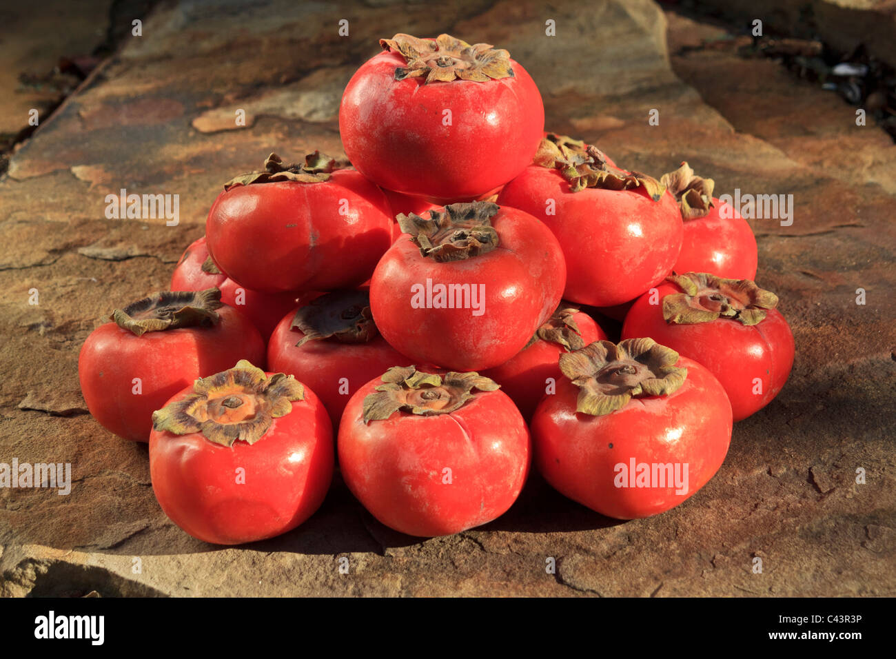 Ebenaceae hi-res stock photography and images - Alamy