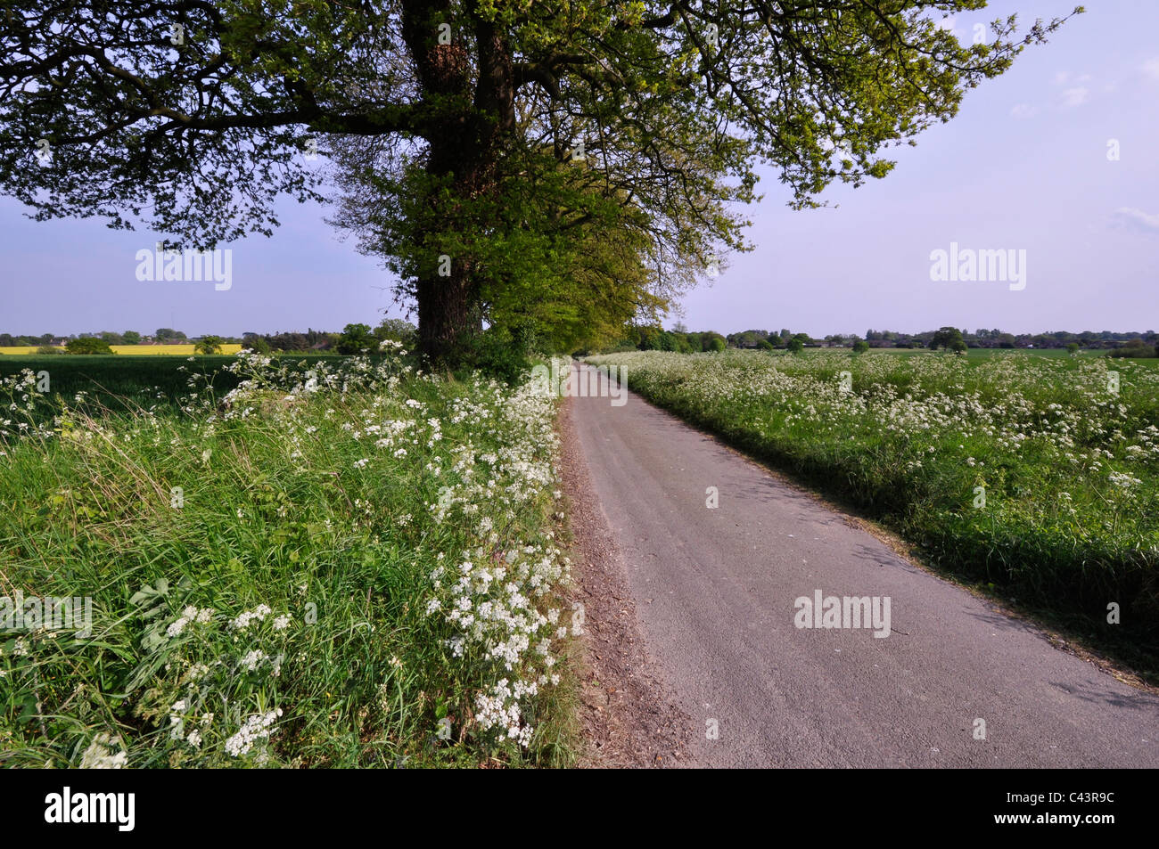 Weasenham st peter hi-res stock photography and images - Alamy