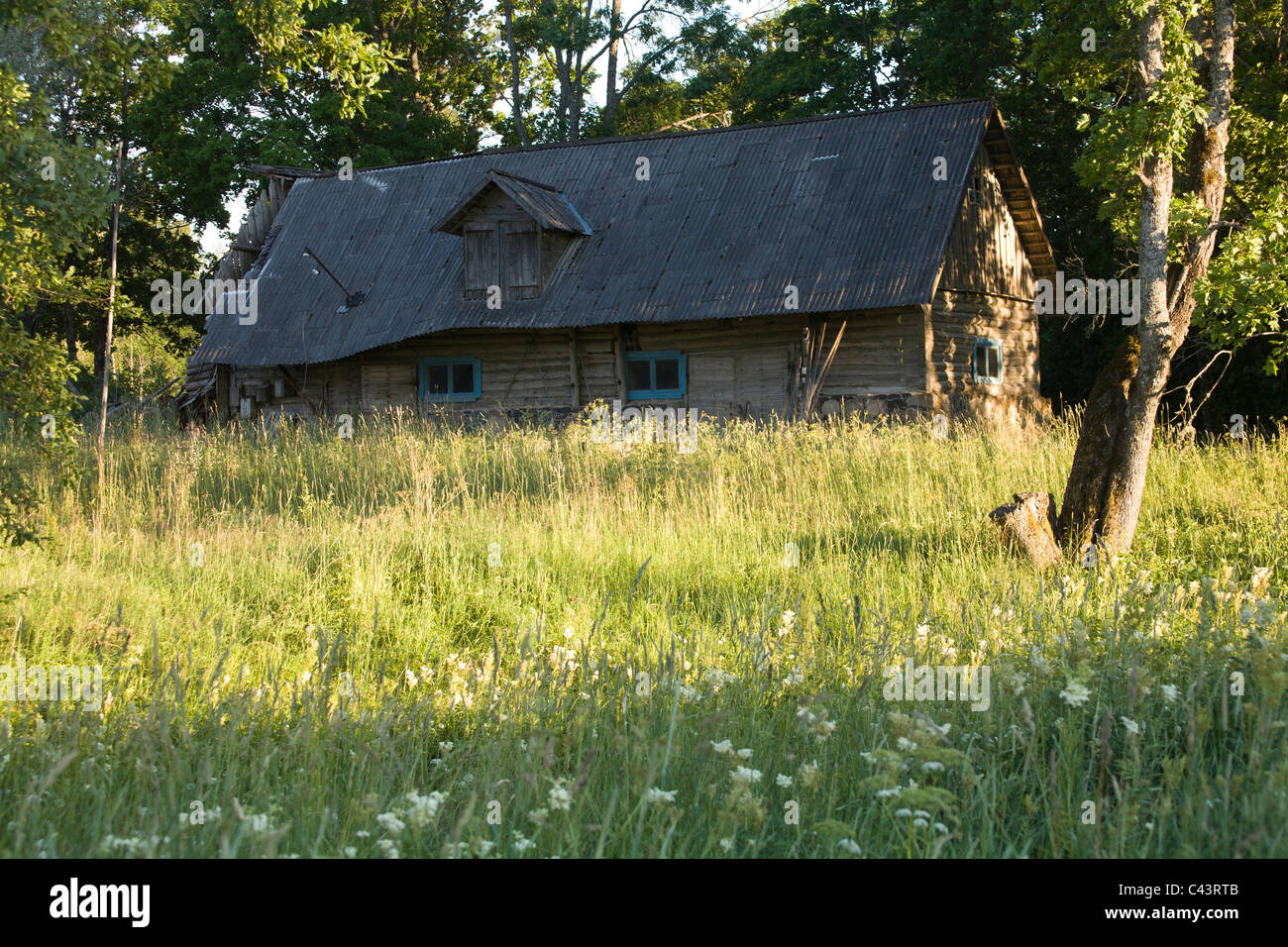 Baltic States, farm farm, farm idyls, Estonia, Europe, family, Kriisad ...
