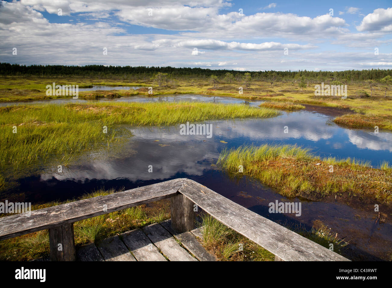 Baltic States, Estonia, Europe, scenery, moor, national park, nature ...