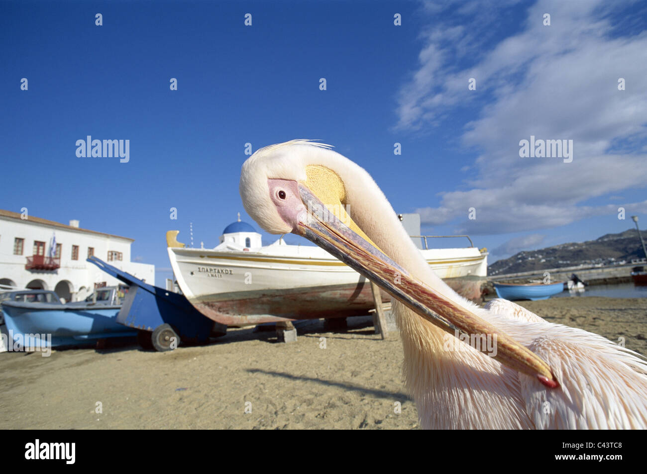 Beach, Boats, Cyclades, Fishing, Greece, Europe, Holiday, Islands ...