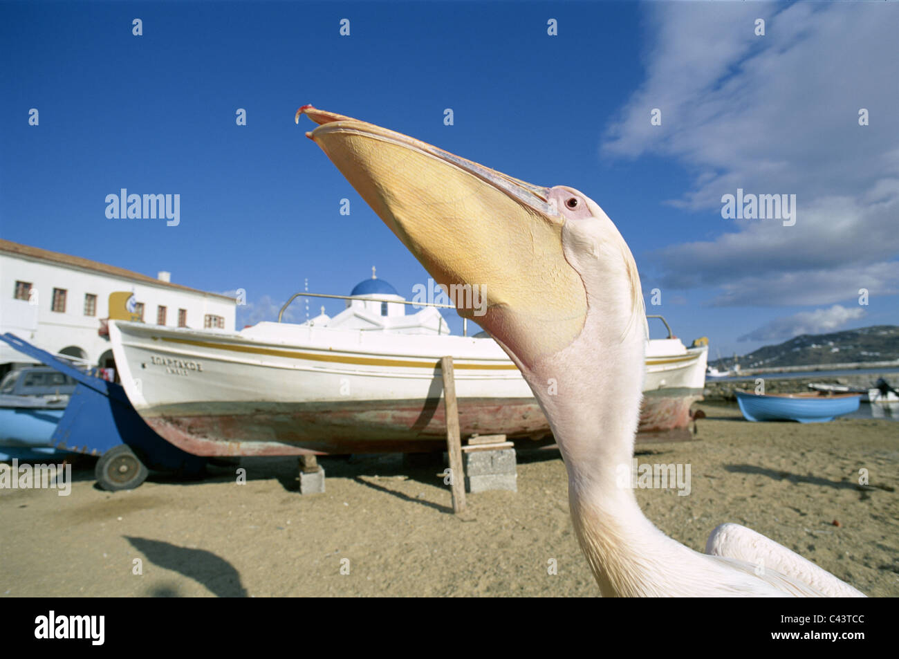 Beach, Boats, Cyclades, Fishing, Greece, Europe, Holiday, Islands ...