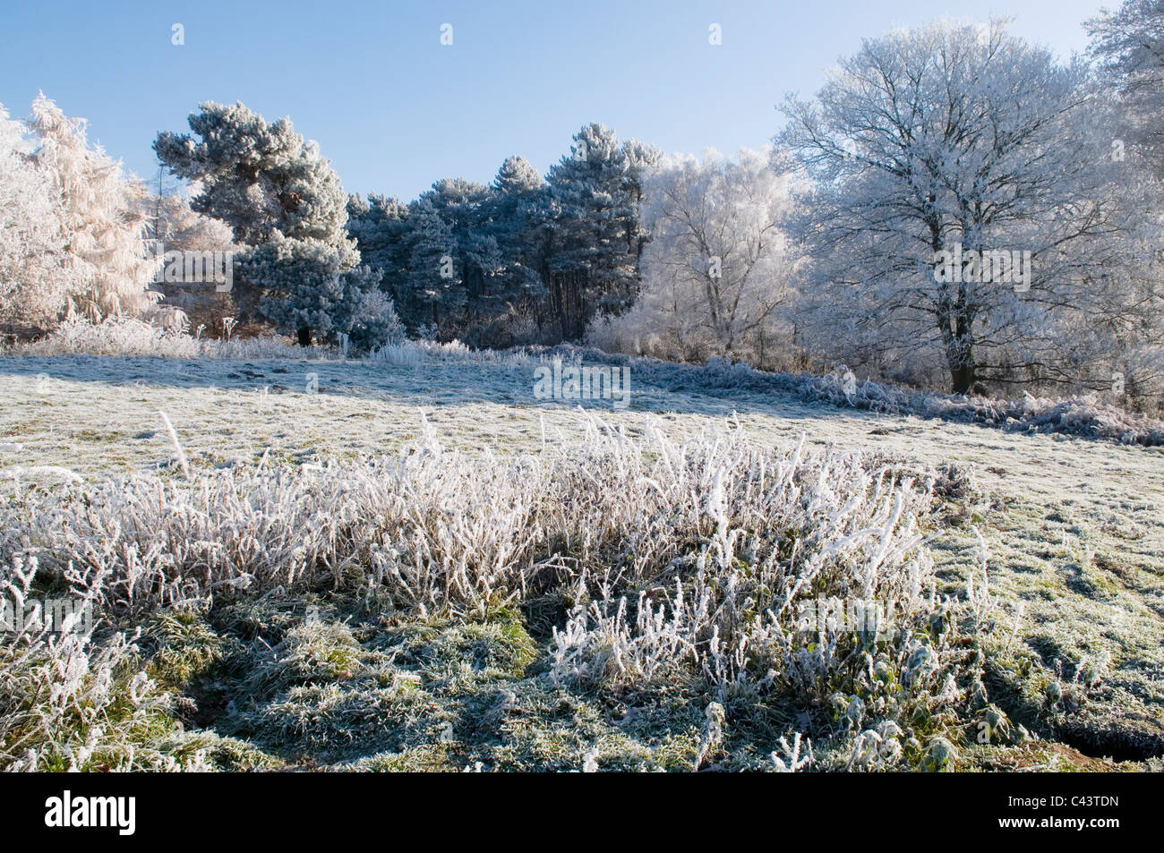 Frosted landscape hi-res stock photography and images - Alamy