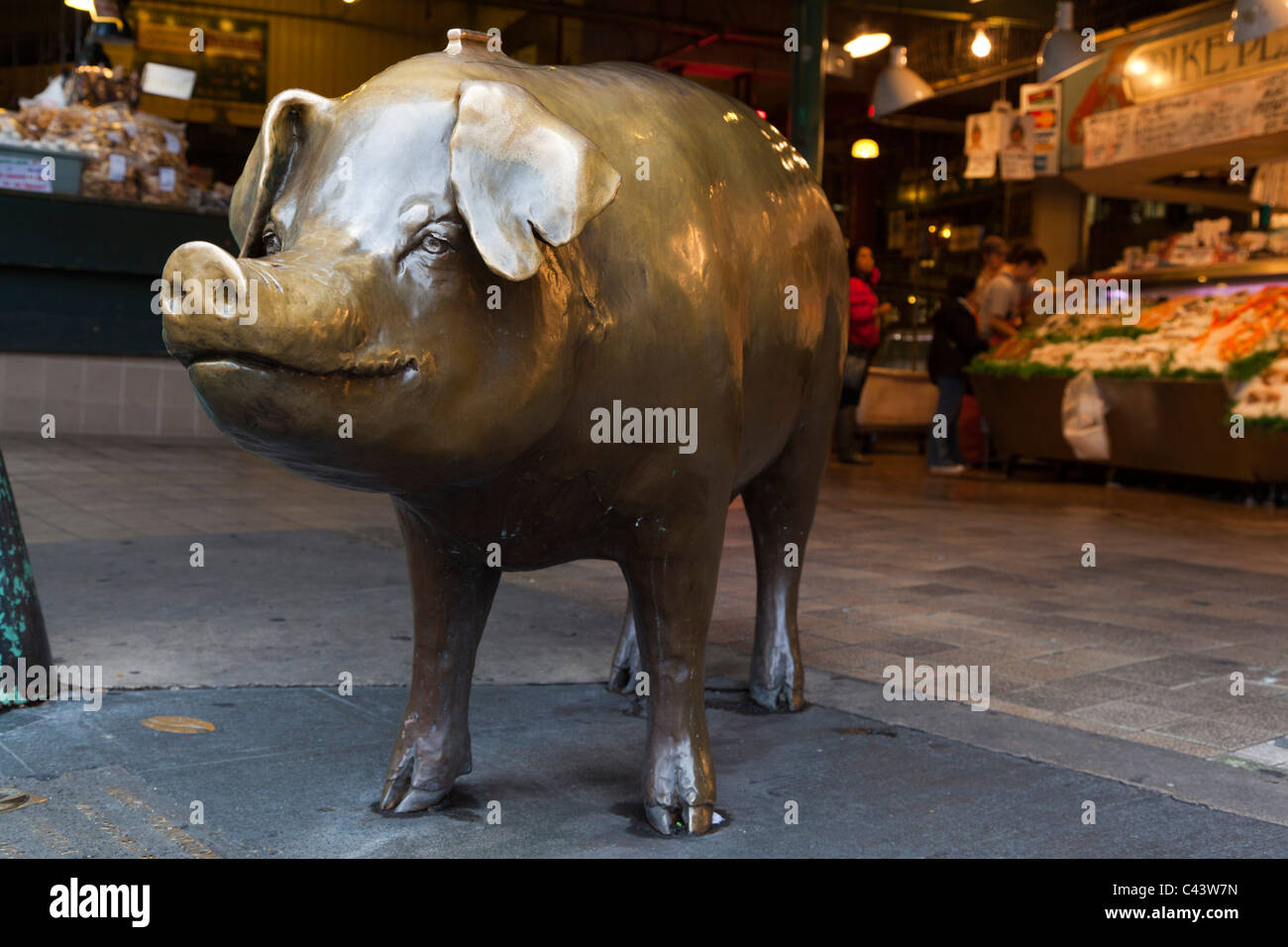 Rachel the pig hi-res stock photography and images - Alamy