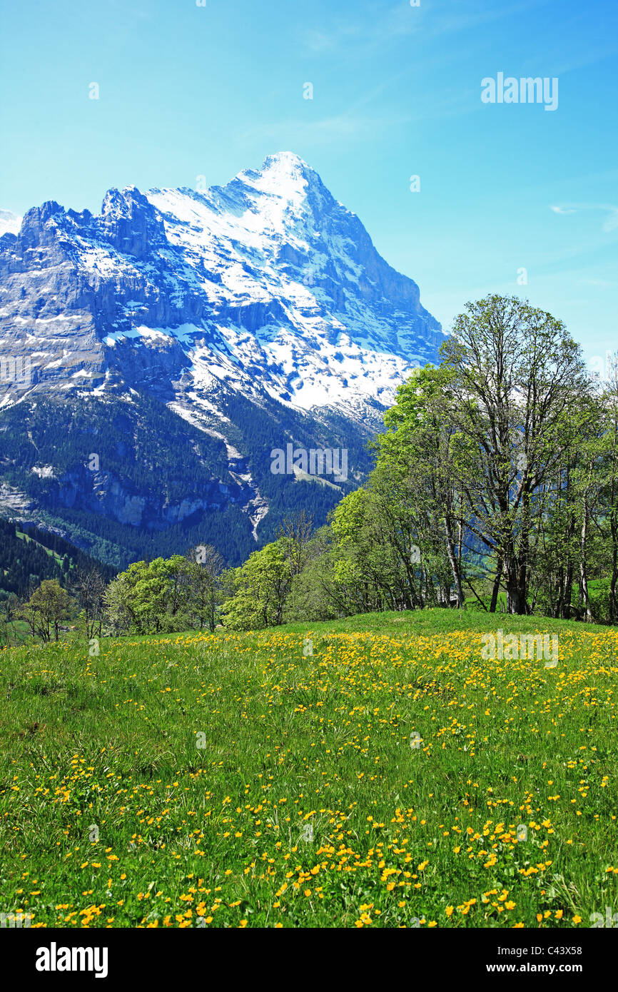 Travel, Nature, Geography, Europe, Switzerland, Berne, Bernese Oberland ...