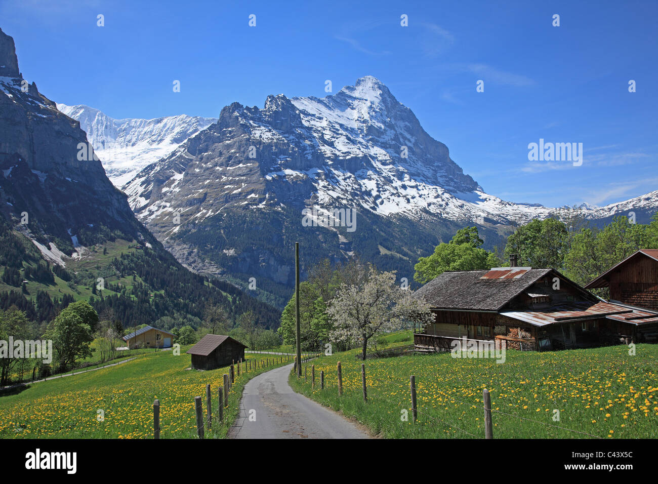 Travel, Nature, Geography, Europe, Switzerland, Berne, Bernese Oberland ...