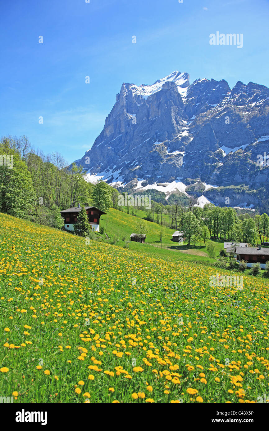 Travel, Nature, Geography, Europe, Switzerland, Berne, Bernese Oberland ...