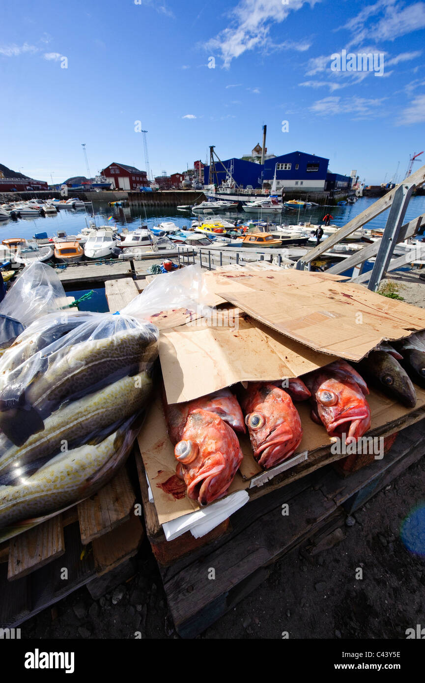 Sisimiut fishing harbour hi-res stock photography and images - Alamy