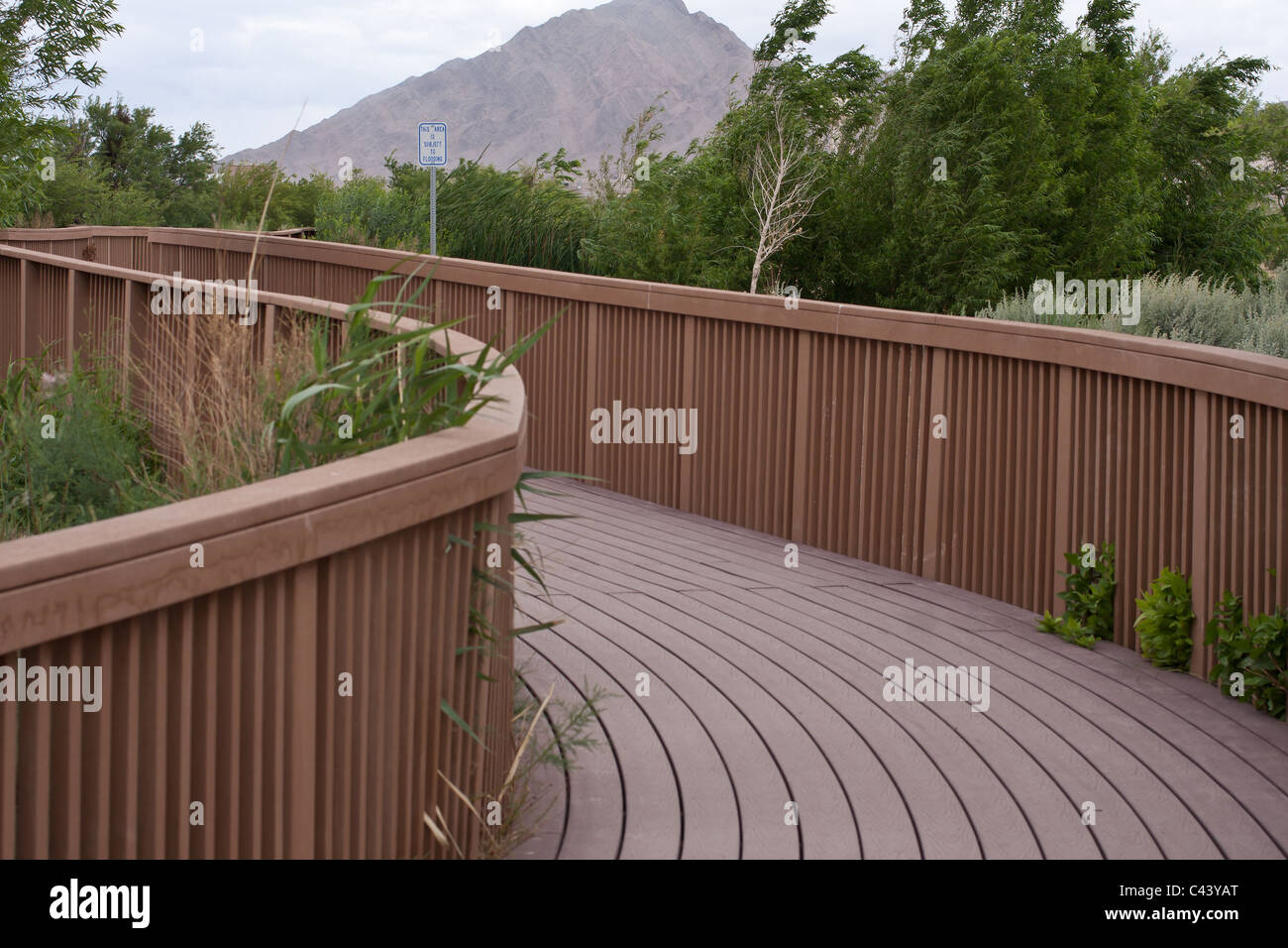 board walking background curve walk way wood panel nobody passage green ...