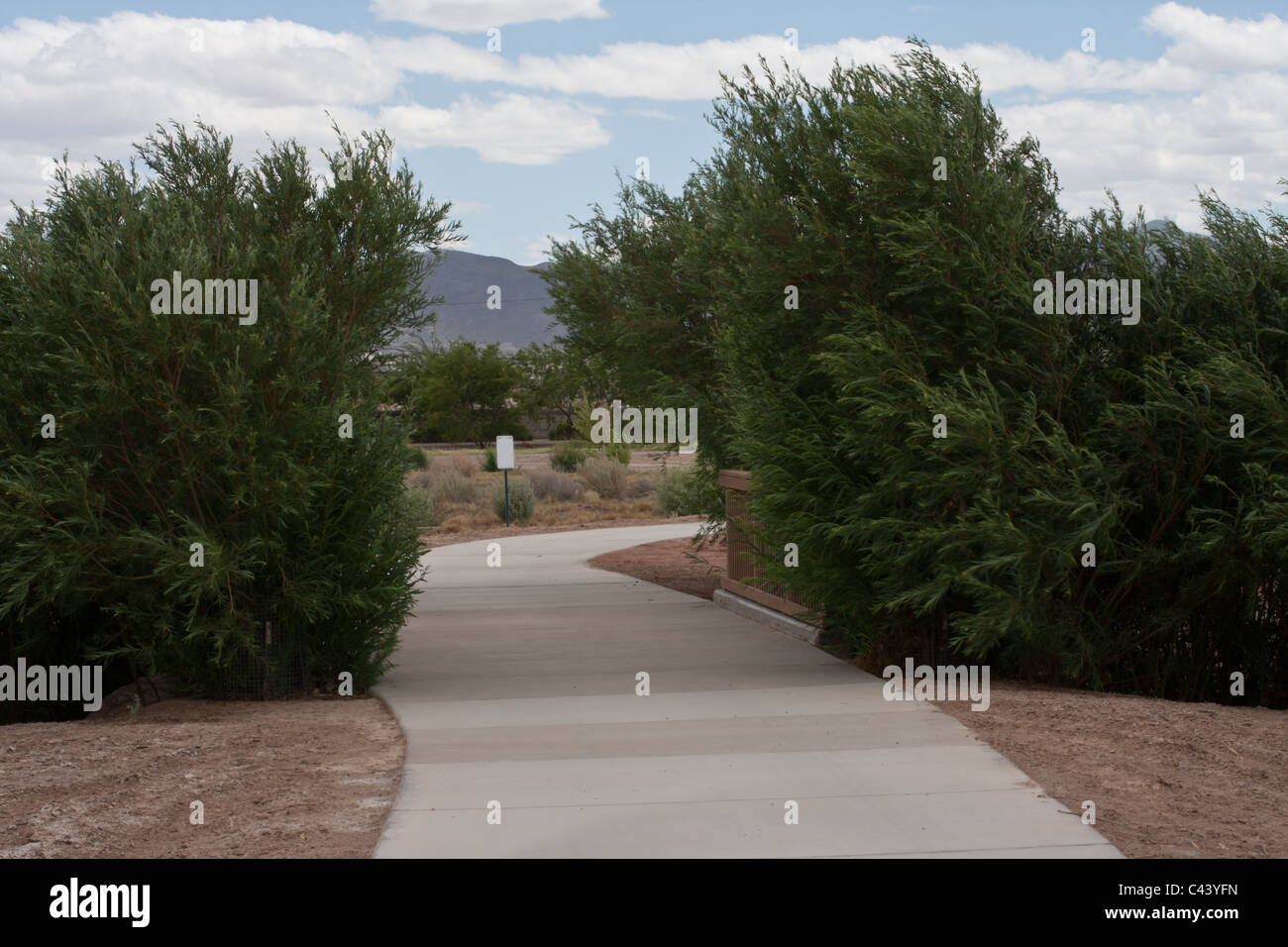 way path walk nature green park beautiful leaf landscape natural ...