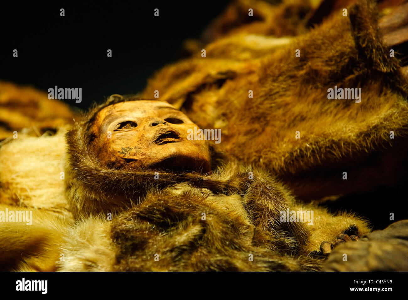 Greenland, Europe, west coast, Nuuk, capital, mummy, national museum ...