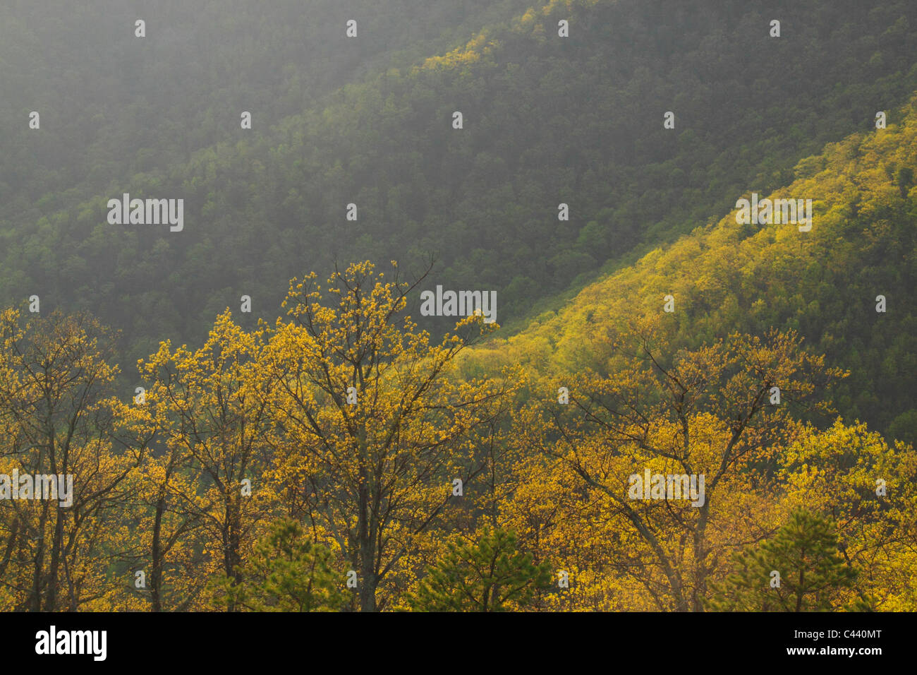 Sunset, Dundo Overlook, Shenandoah National Park, Virginia, USA Stock ...