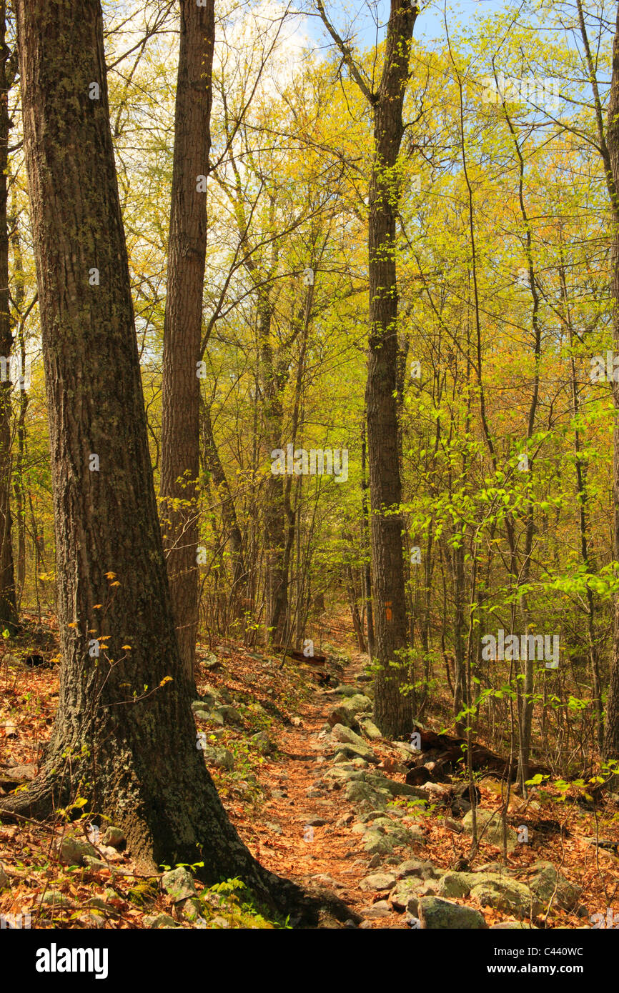 Massanutten mountain ridge hi-res stock photography and images - Alamy