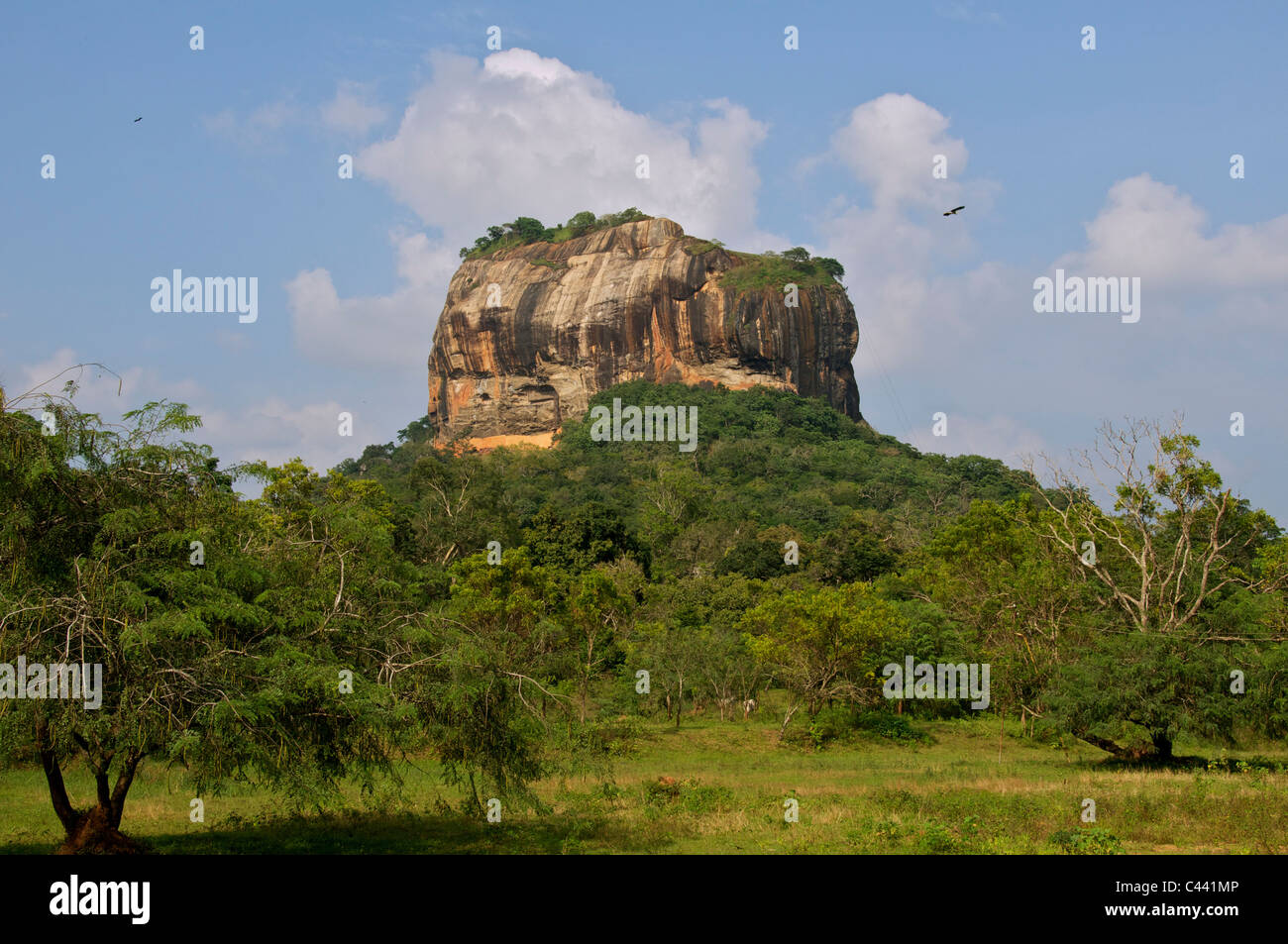 Lions rock hi-res stock photography and images - Alamy