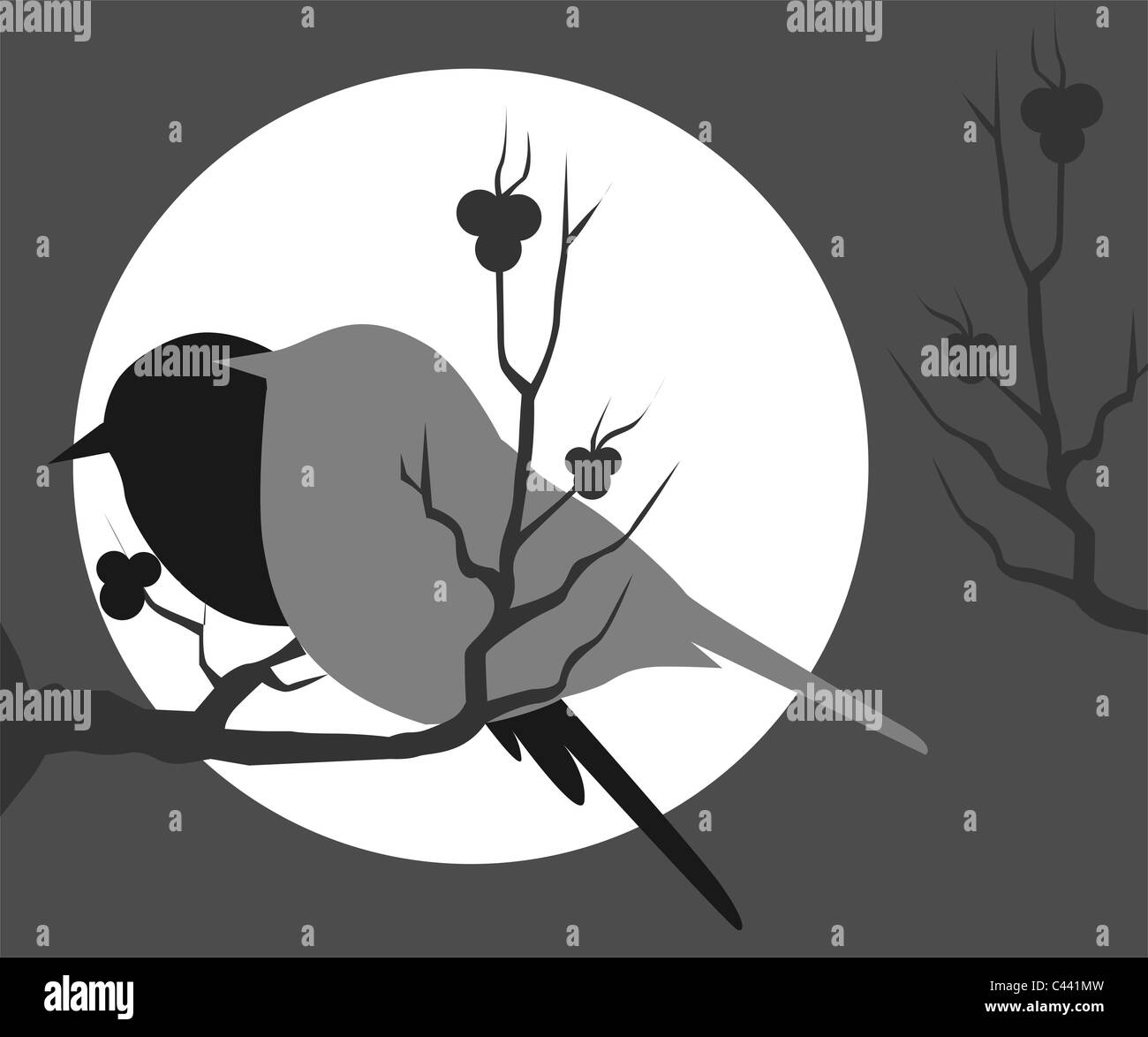 Two birds sitting on Black and White Stock Photos & Images - Alamy