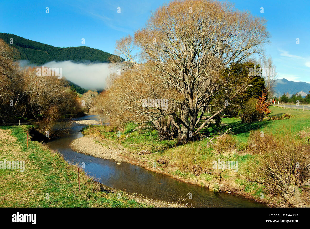 New Zealand countryside, Taranaki New Zealand Stock Photo - Alamy