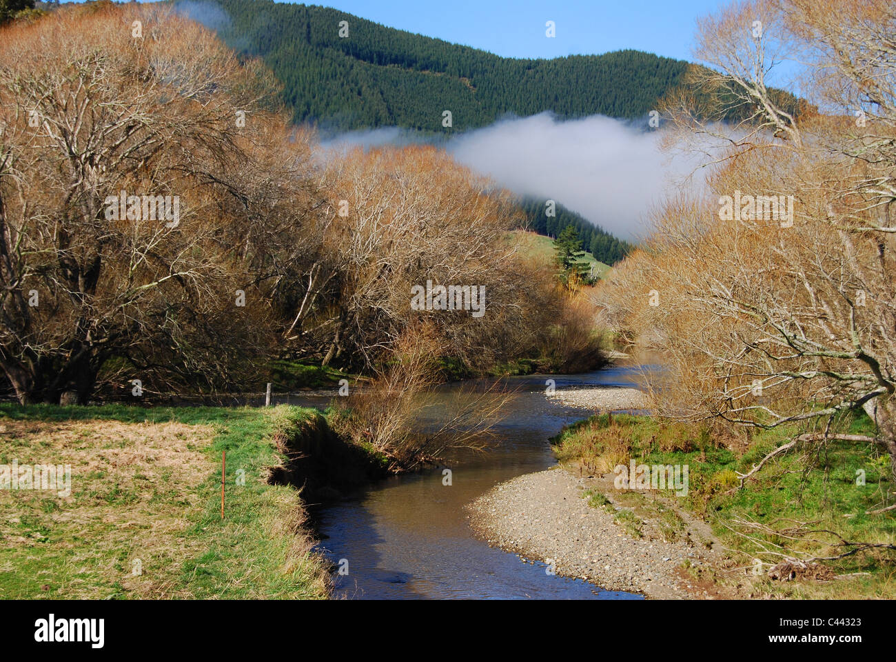 New Zealand countryside, Taranaki New Zealand Stock Photo - Alamy