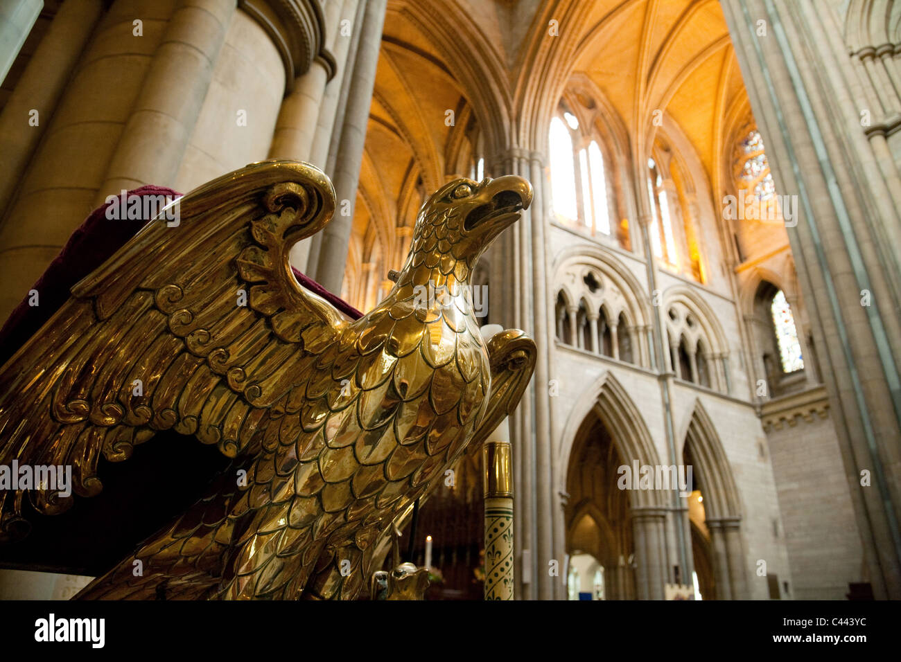 Truro cathedral hi-res stock photography and images - Alamy