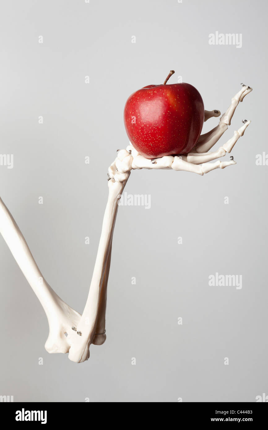 A skeleton arm and hand holding a red apple Stock Photo - Alamy