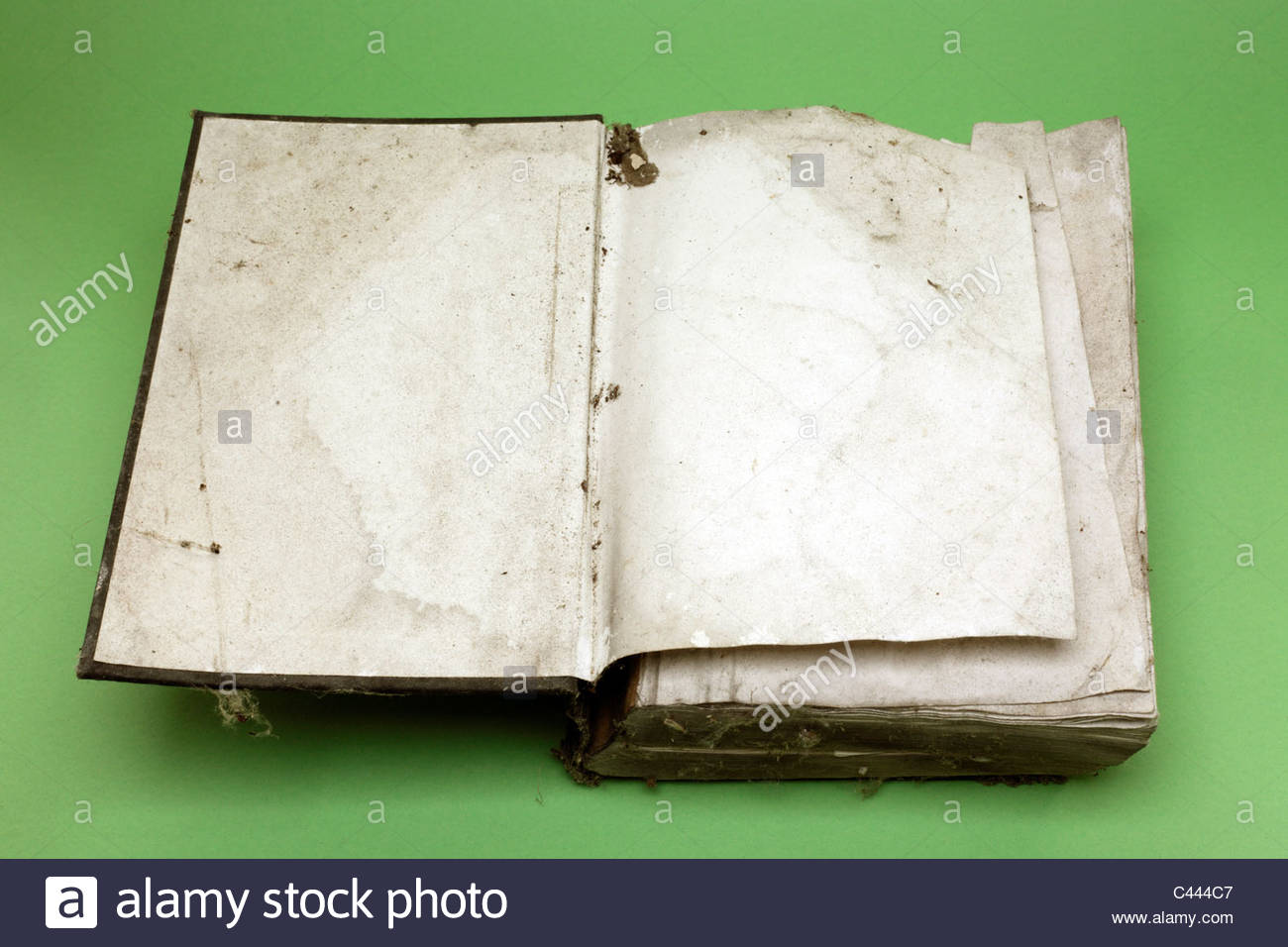 Damaged Spine Stock Photos & Damaged Spine Stock Images - Alamy