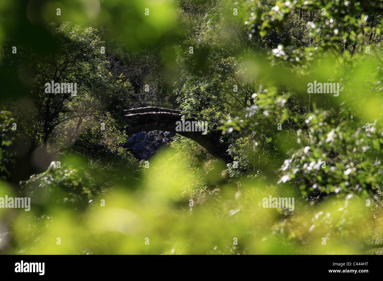Green Landscape Seen Through Hi res Stock Photography And Images Alamy green-landscape-seen-through-hi-res-stock-photography-and-images-alamy