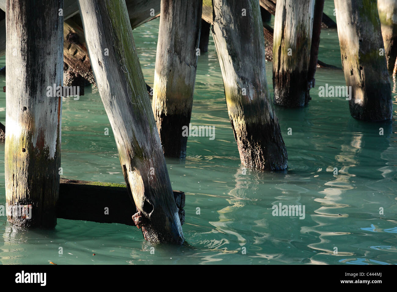 Timber supports for a pier in Oamaru, New Zealand Stock Photo - Alamy