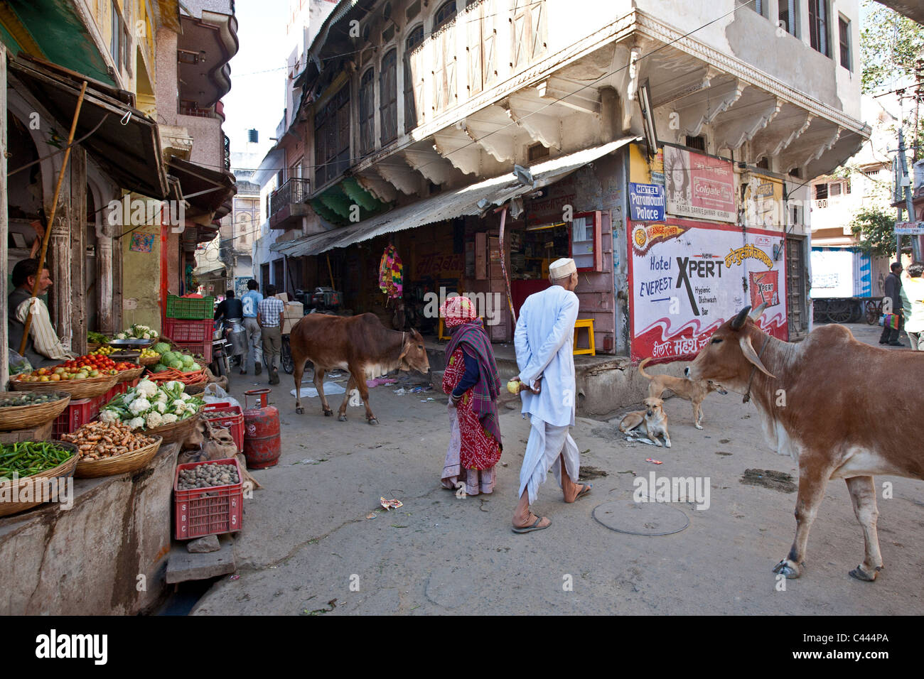 Street. Pushkar. Rajasthan. India Stock Photo - Alamy