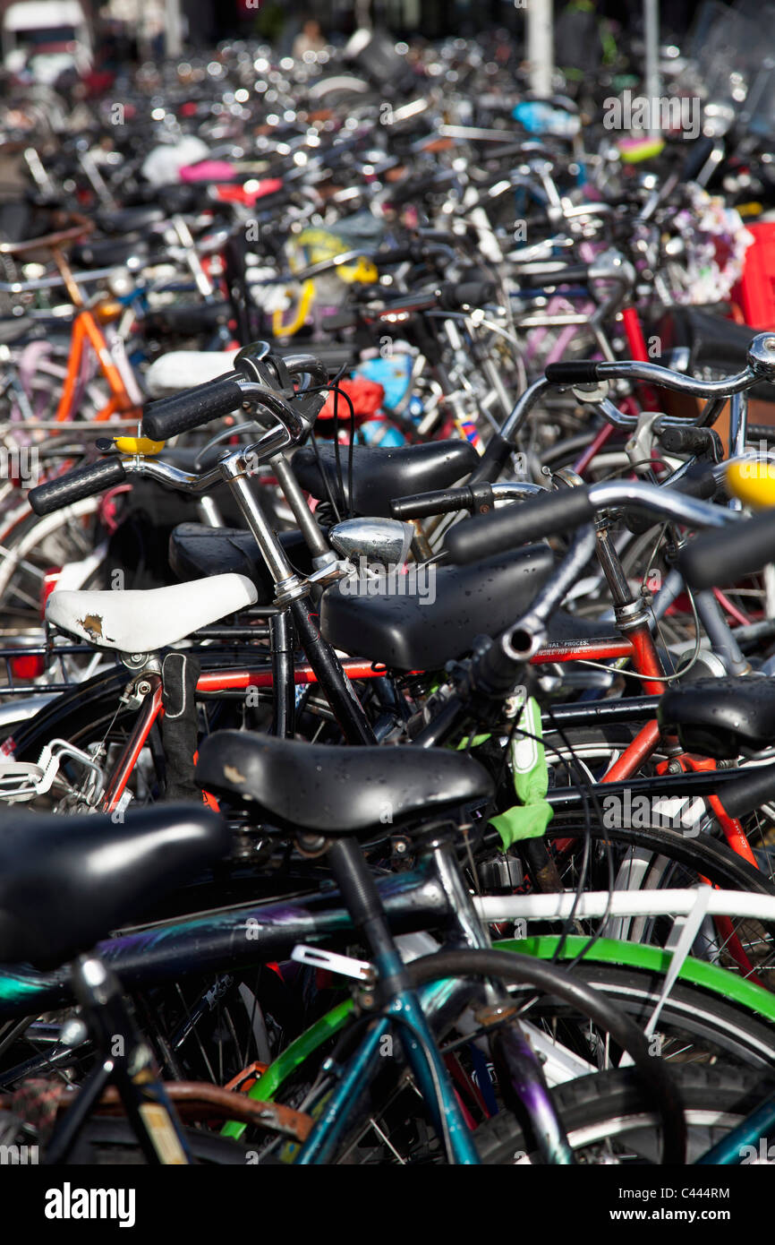 Large group of bicycles hi-res stock photography and images - Alamy