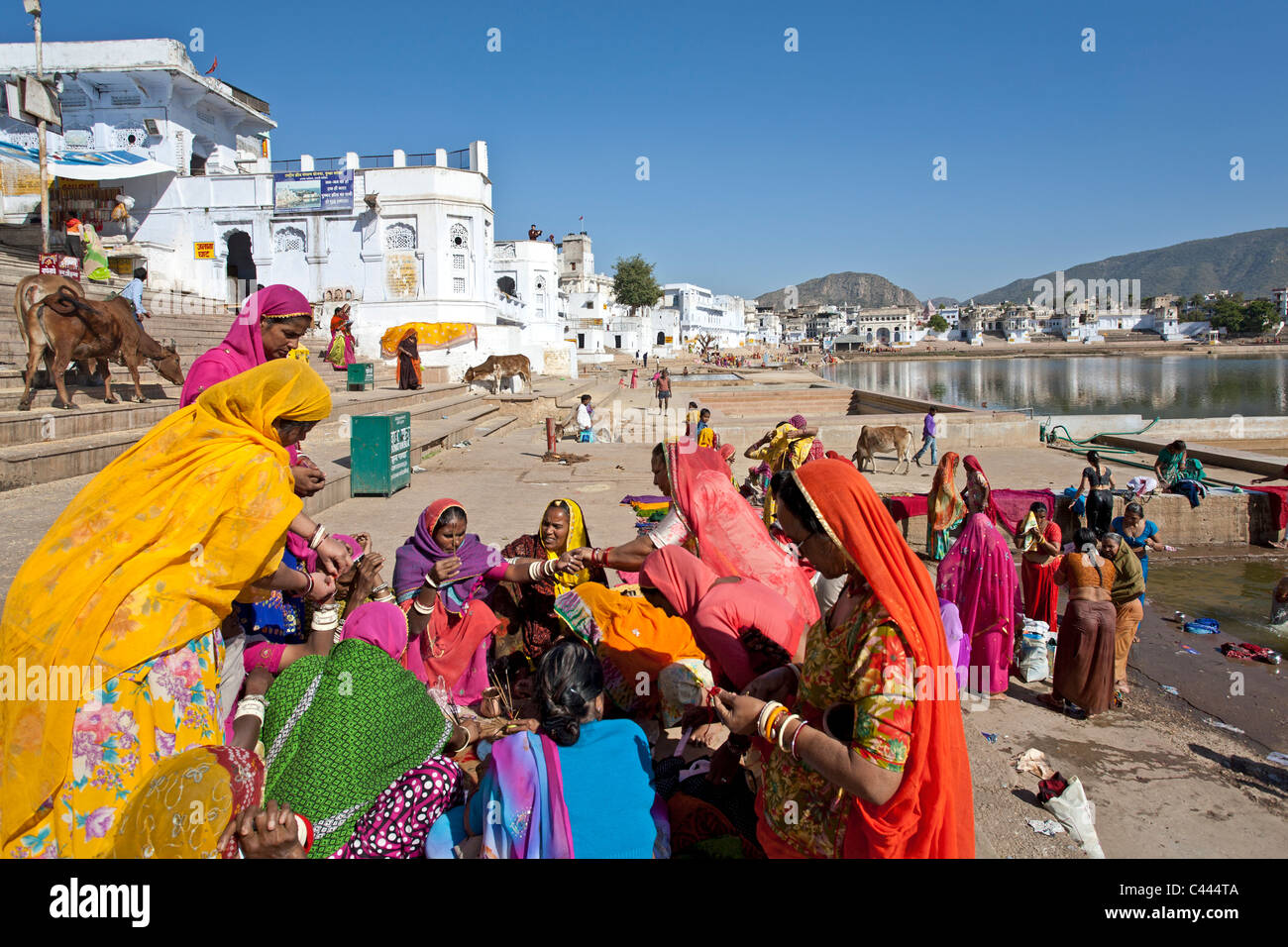 Indian women making a ritual offering (puja). Pushkar lake. Rajasthan ...
