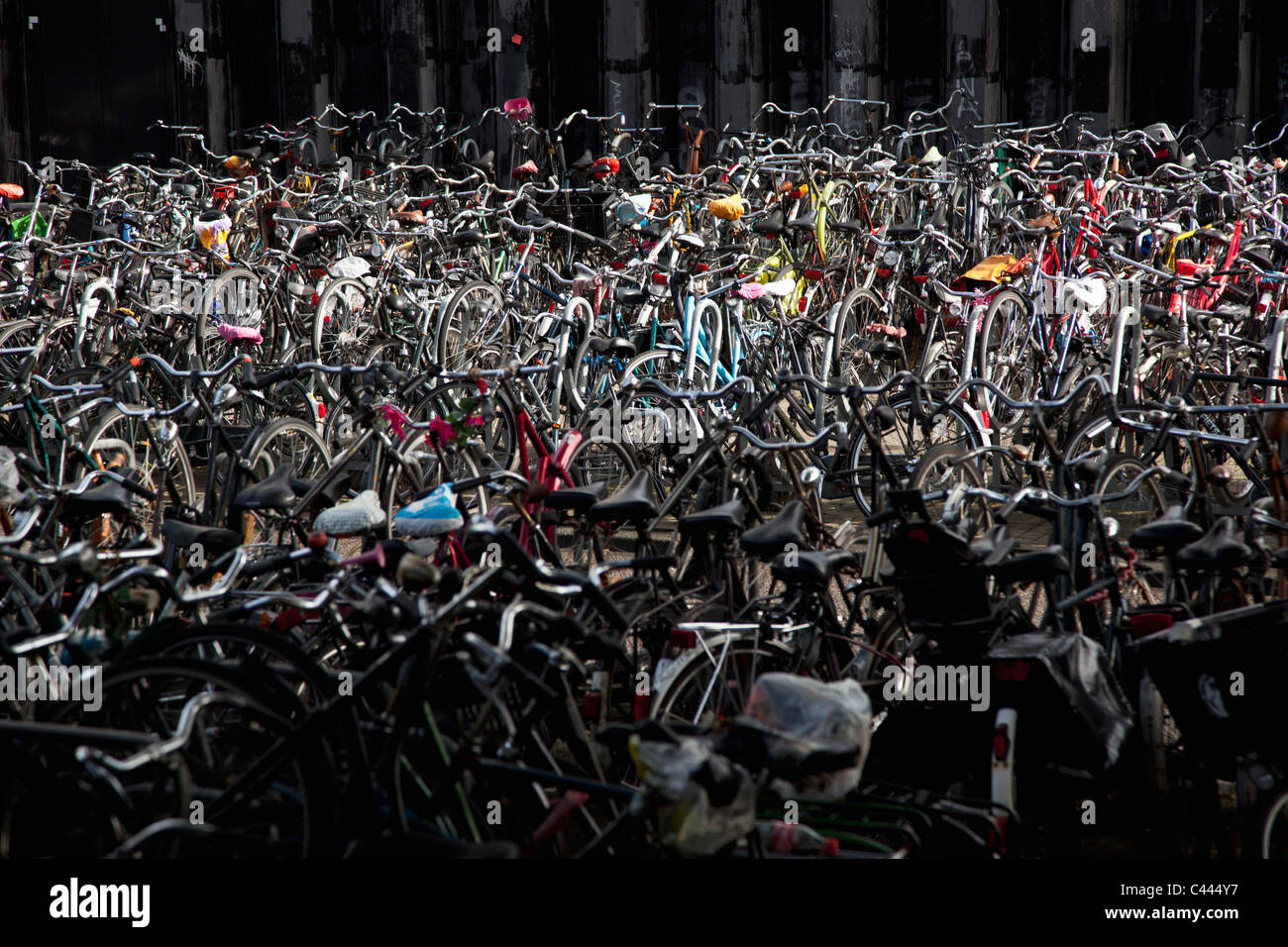 A large group of parked bicycles Stock Photo - Alamy