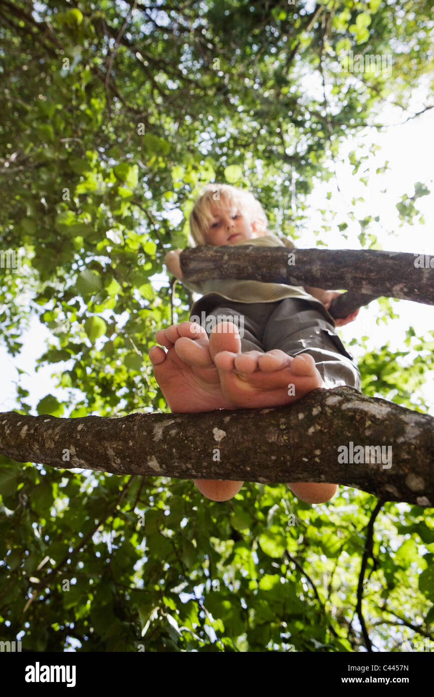 View from below of a child standing in a tree Stock Photo - Alamy