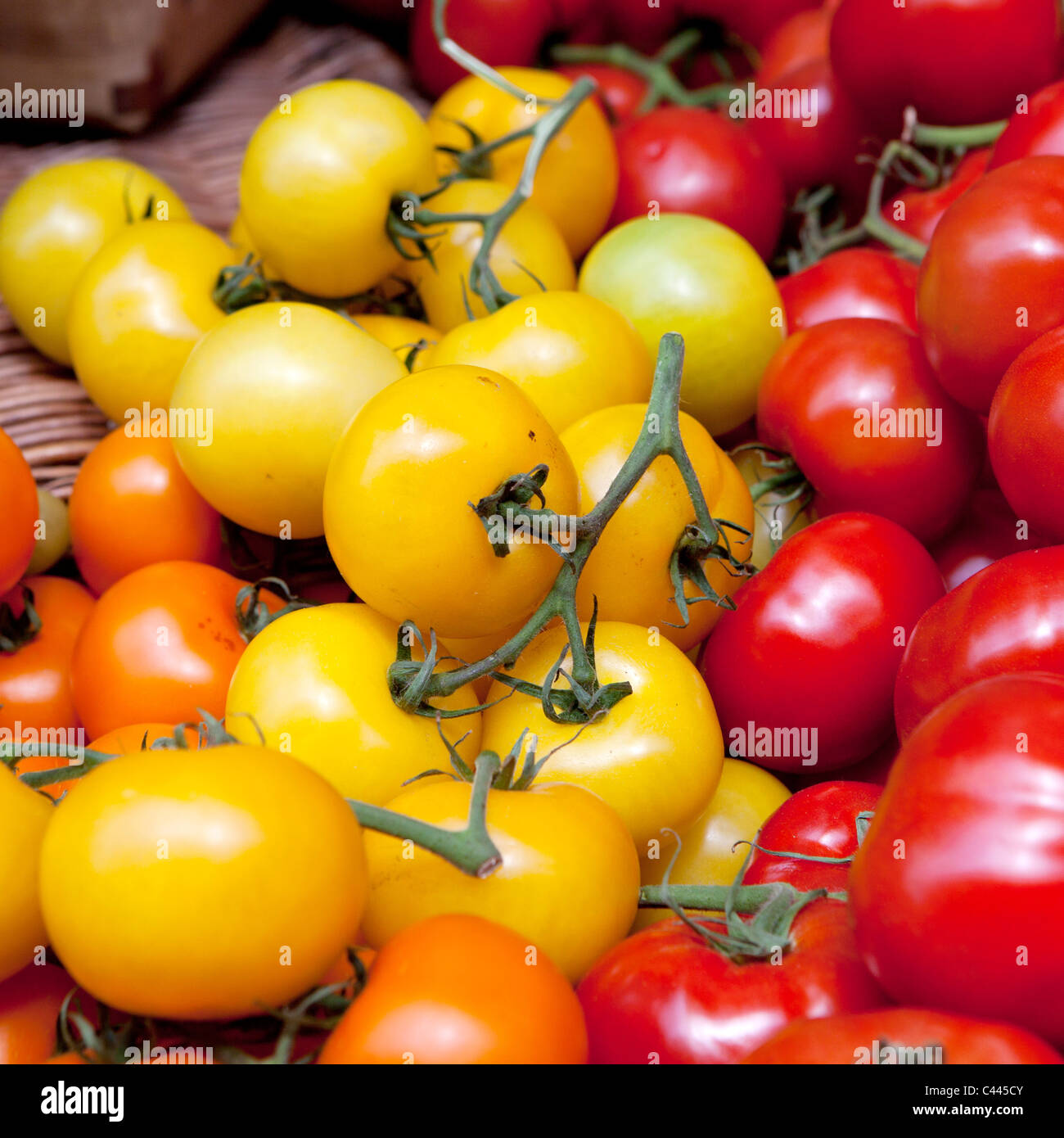collection of yellow and red tomatoes Stock Photo - Alamy