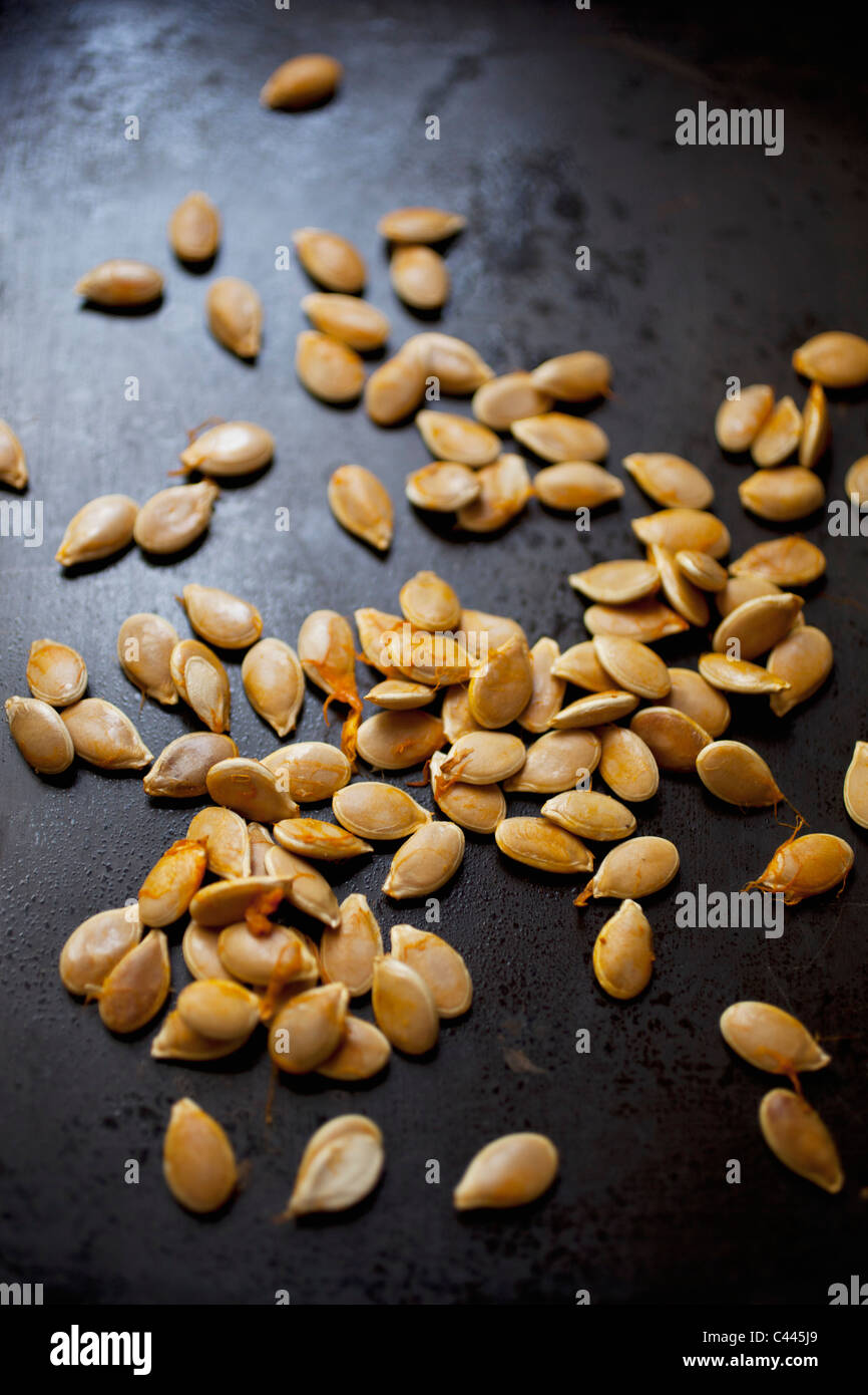 Seed of a pumpkin hi-res stock photography and images - Alamy