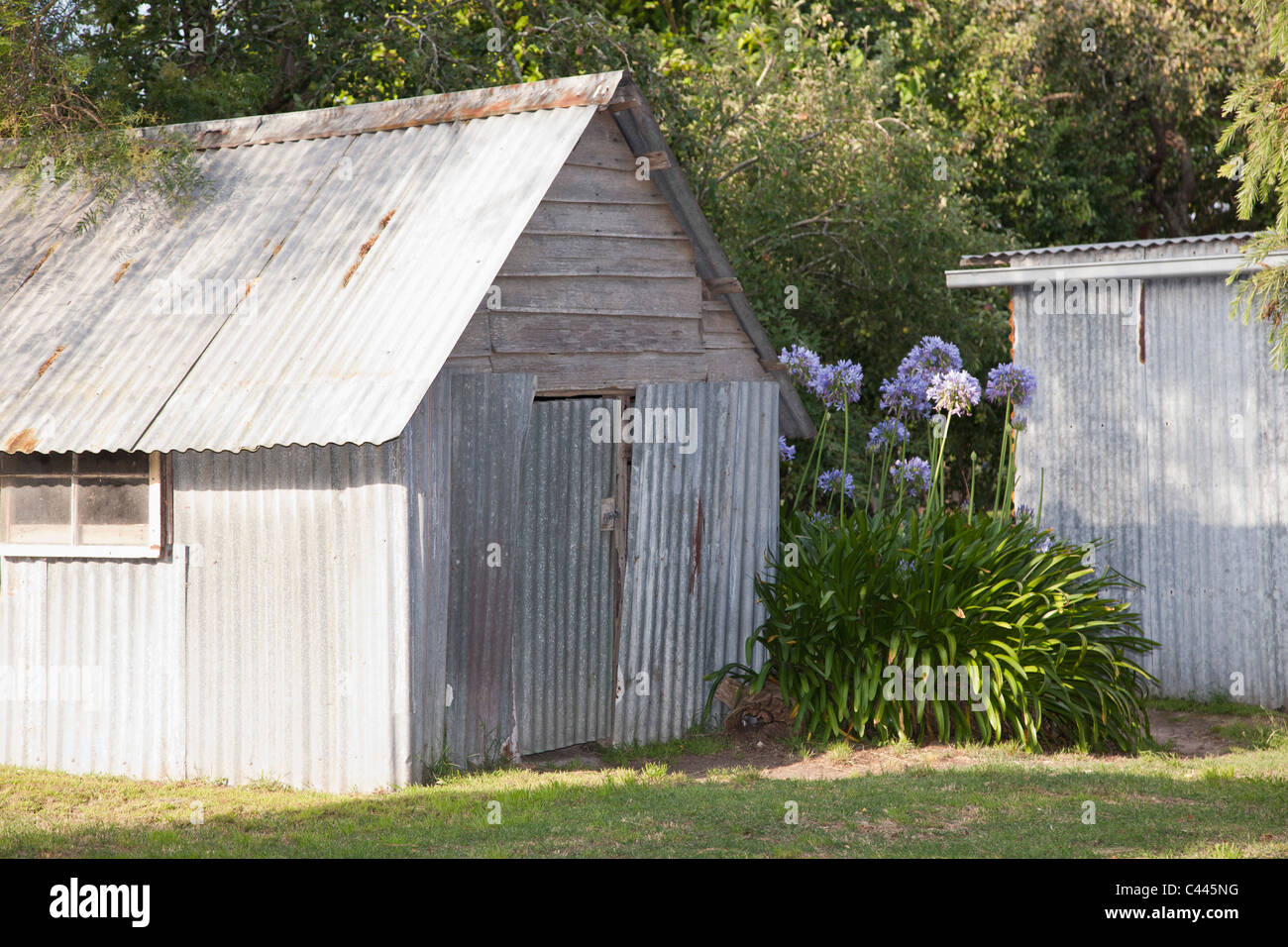 A backyard shed Stock Photo - Alamy