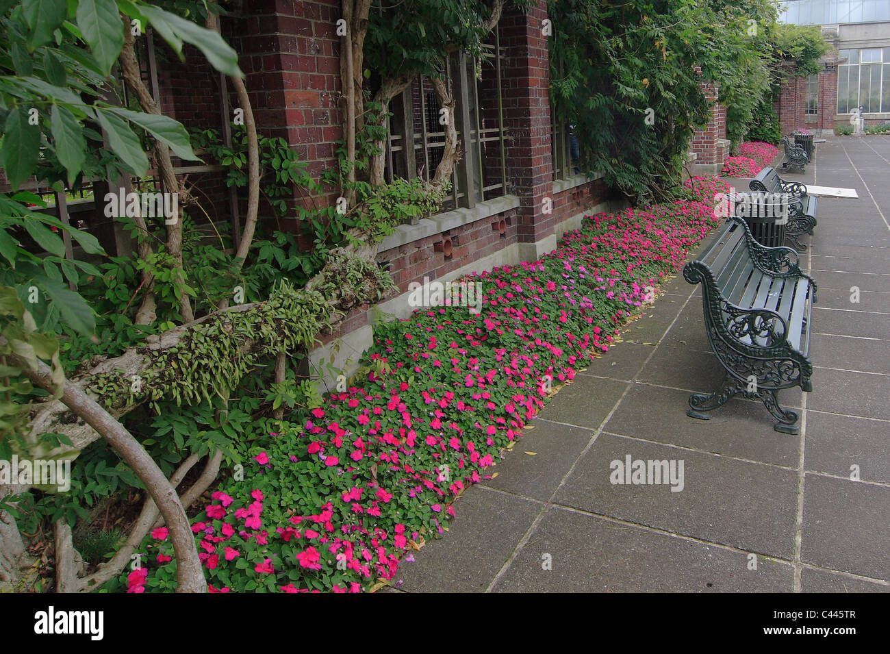 Auckland Domain, New Zealand Stock Photo - Alamy