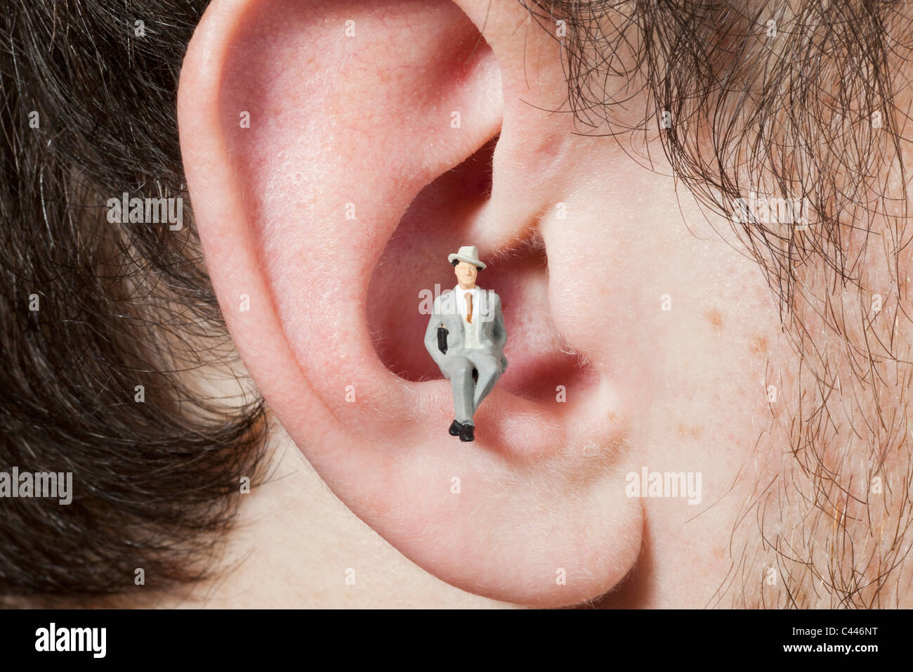 A miniature businessman figurine sitting in a man's ear Stock Photo - Alamy