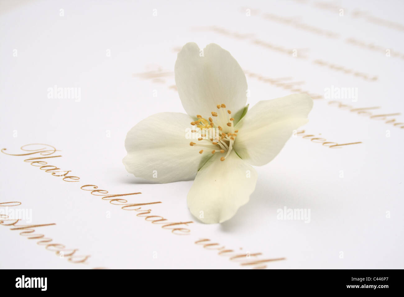 Love letter and flower Stock Photo - Alamy