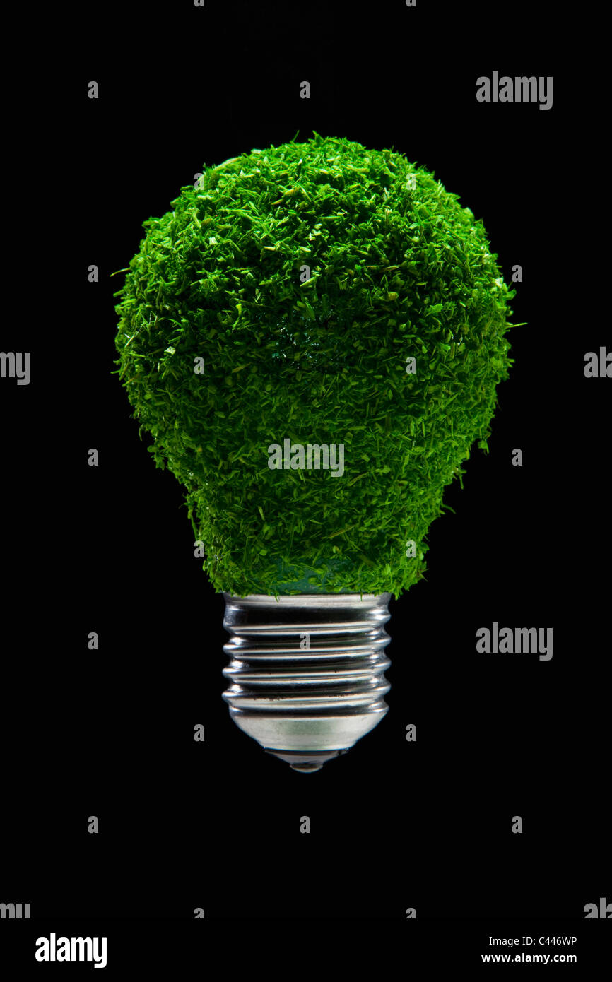 Green grass covered light bulb Stock Photo - Alamy