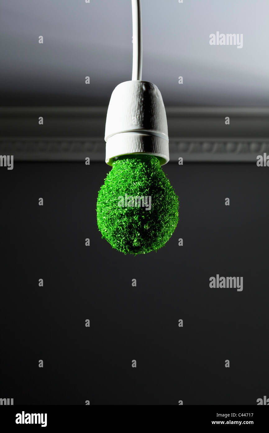 Energy saving light bulb covered in grass and hanging from ceiling ...