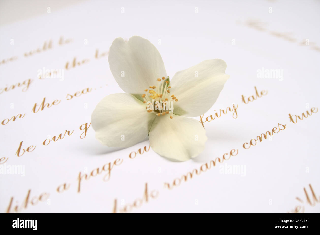 Love letter and flower Stock Photo - Alamy