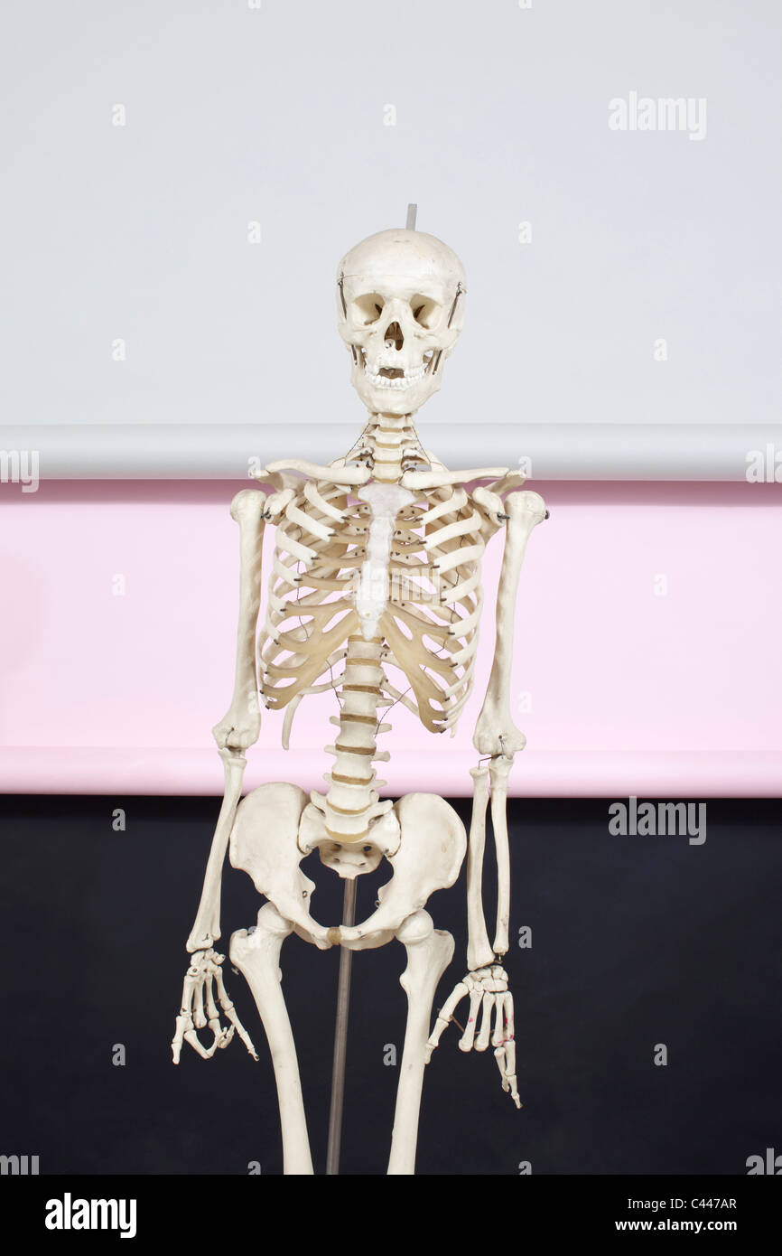 Skeleton death representation hi-res stock photography and images - Alamy